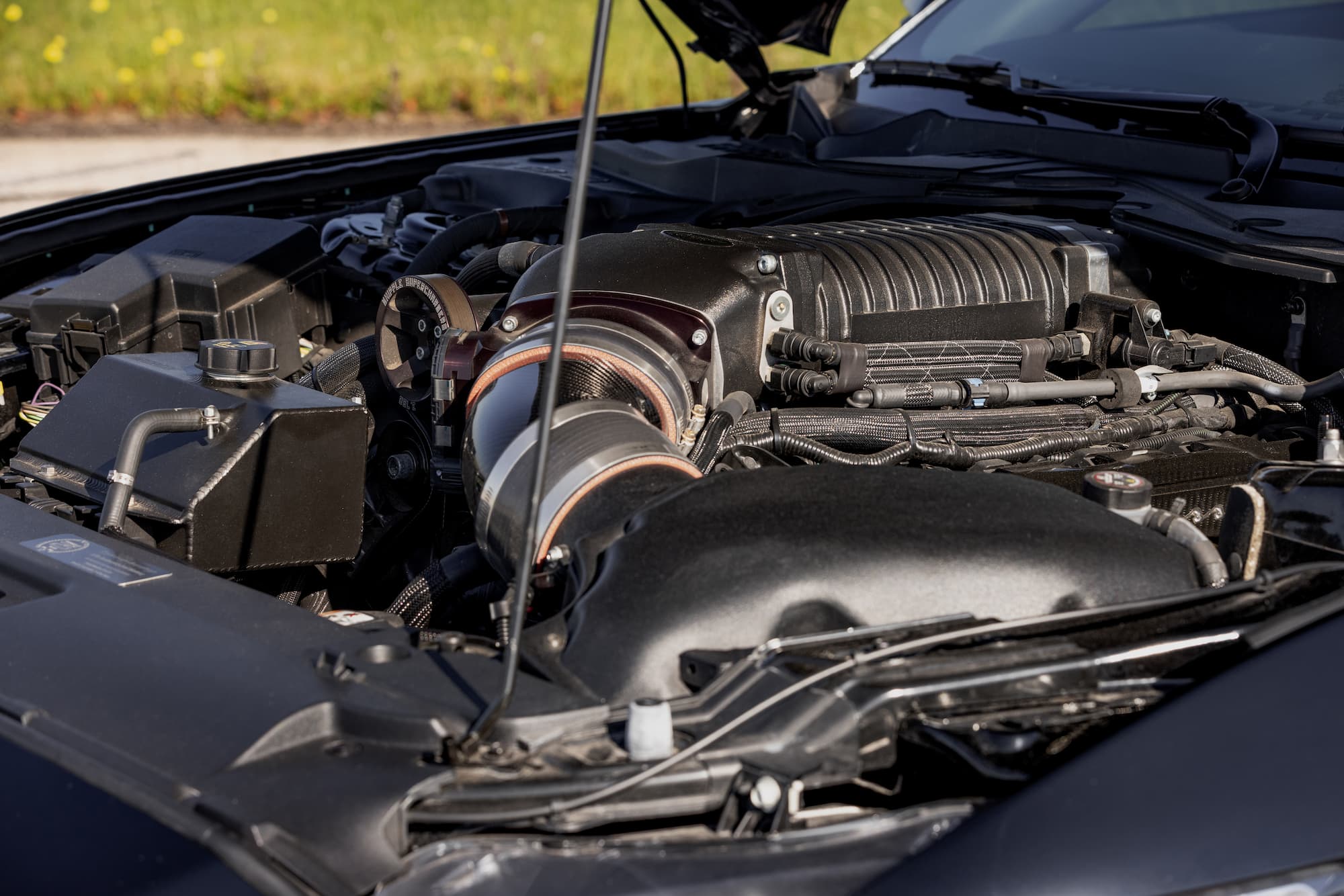 2016 Mustang GT HPE800 25th Anniversary Edition for Sale